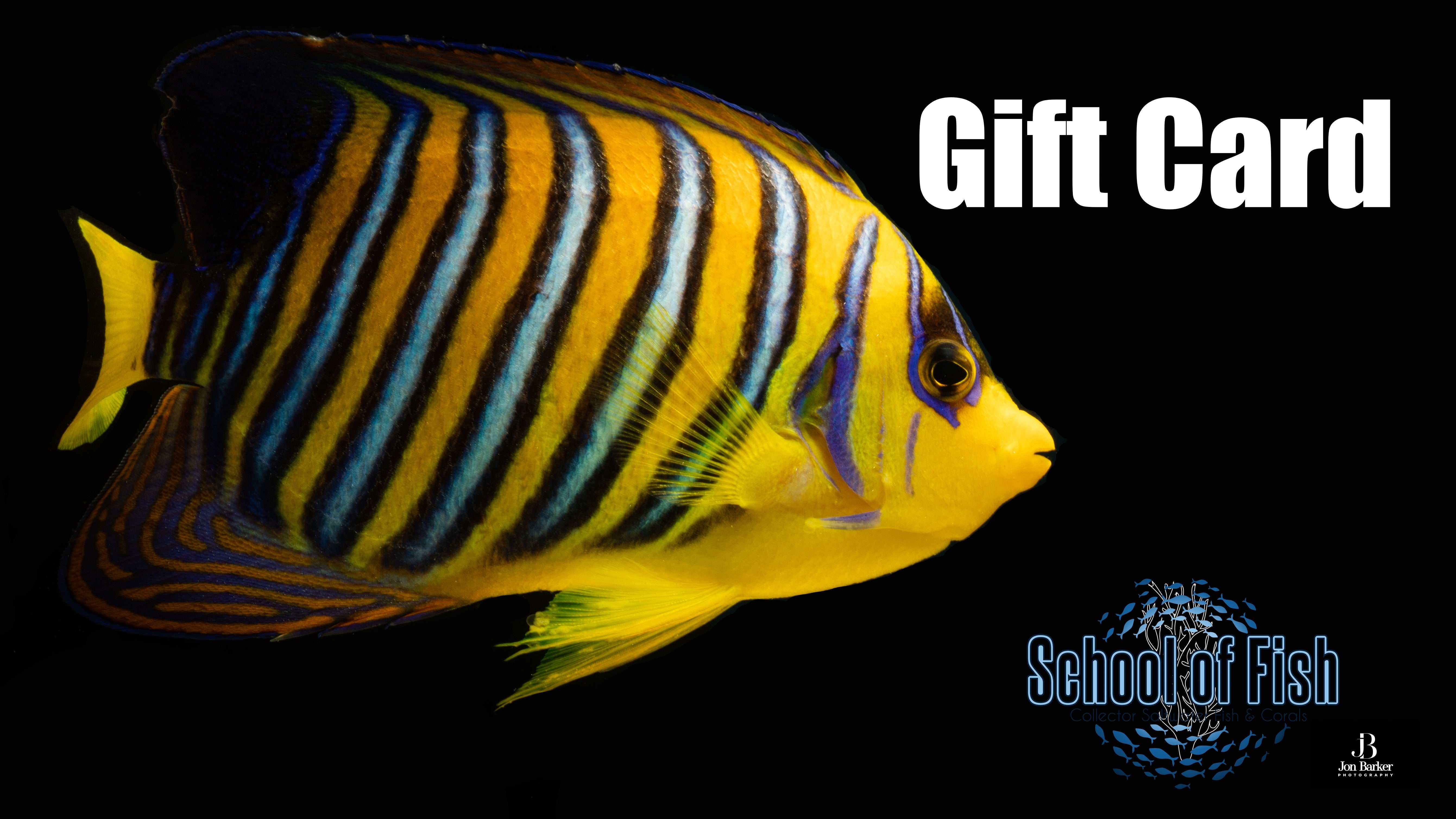 School of Fish Gift Card | School of Fish Online Store